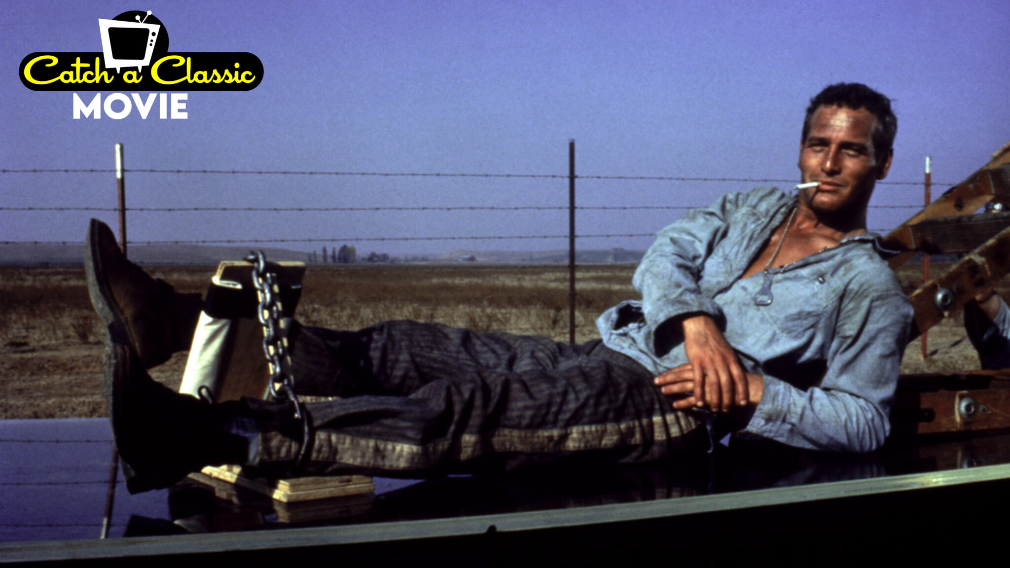 Paul Newman Gives an Iconic Performance in 'Cool Hand Luke'