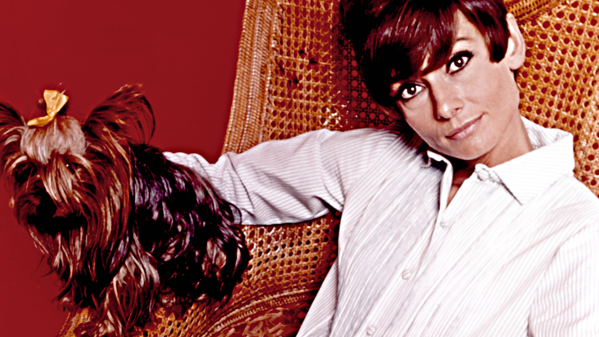 Celebrate National Pet Day With Classic Celebrities & Their Pets