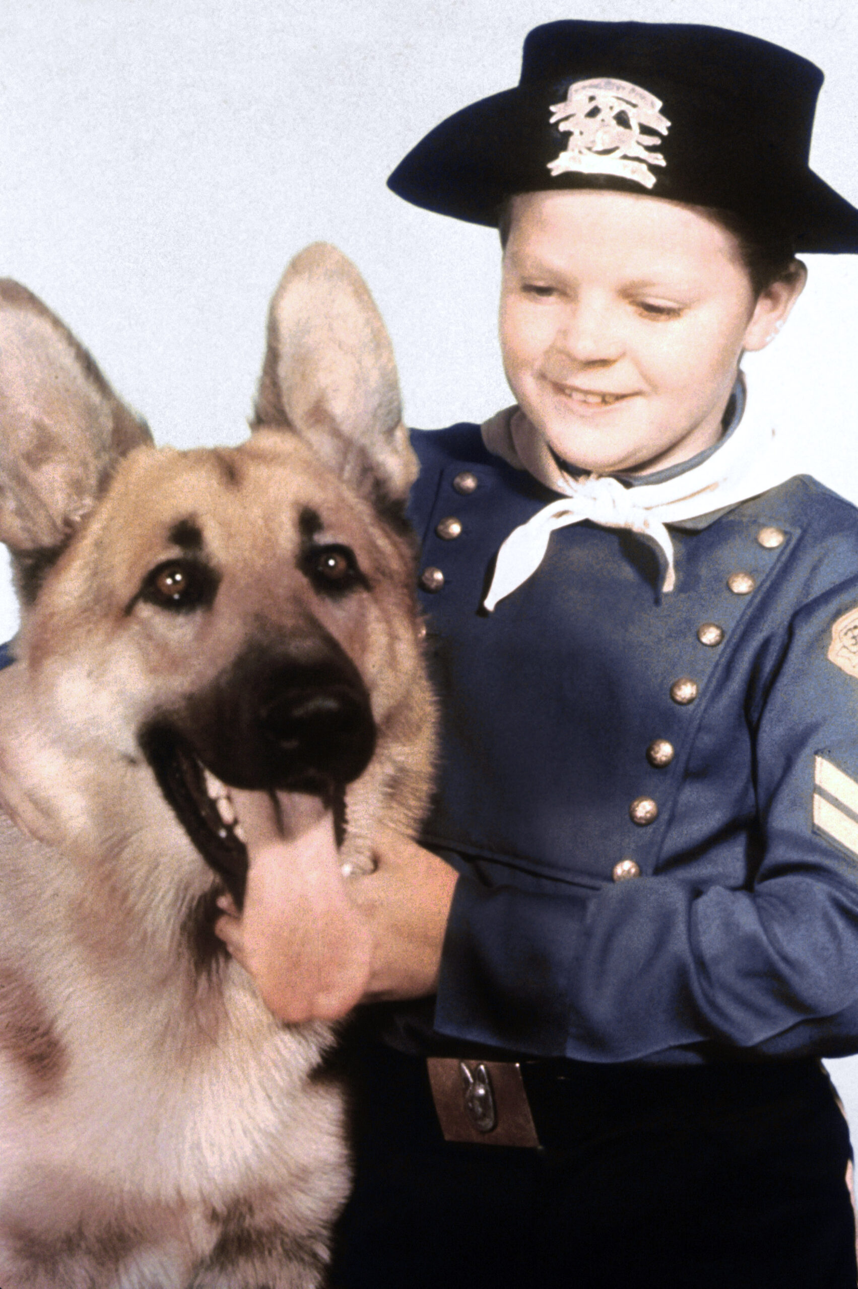 Most Iconic Dogs on TV