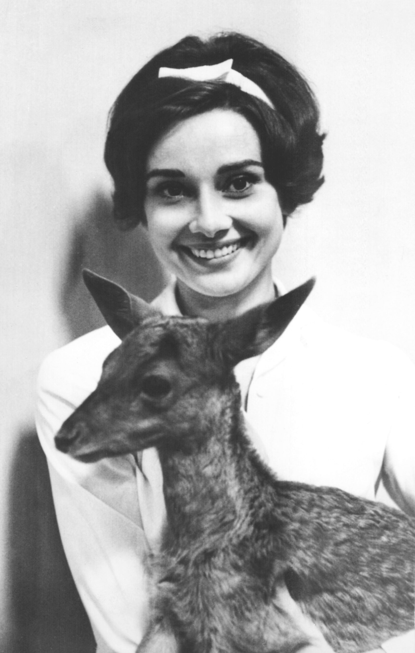 She Spoke 5 Languages! Fun Facts About Audrey Hepburn on her Birthday