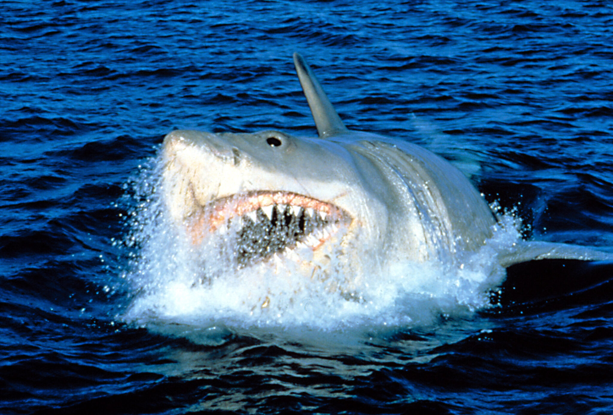 The Creature (Still) Walks Among Us: A Look Back at 'Creature From The ...