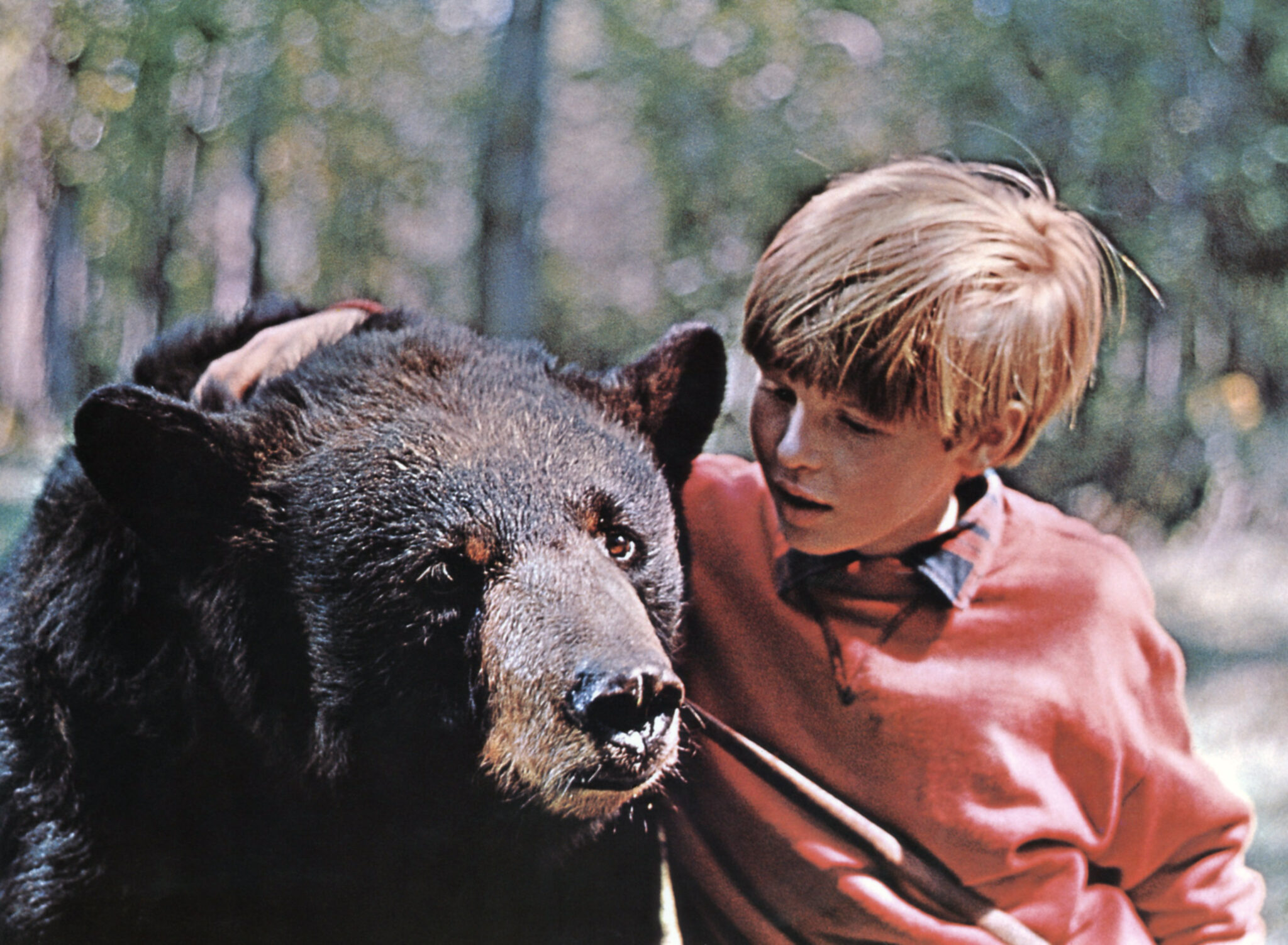 Catching Up With Aaron, 'The Little Drummer Boy': Teddy Eccles