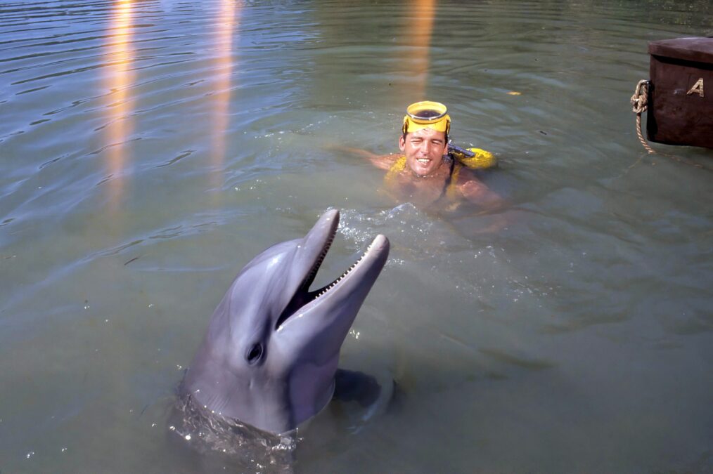 6 Fun Facts About the 1964 TV Show 'Flipper'