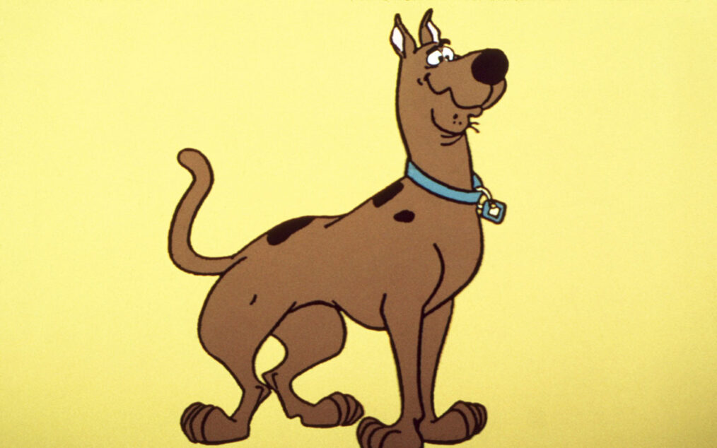 Scooby-Doo! Where Are You? We Found the Man Behind the Voice, Scott ...
