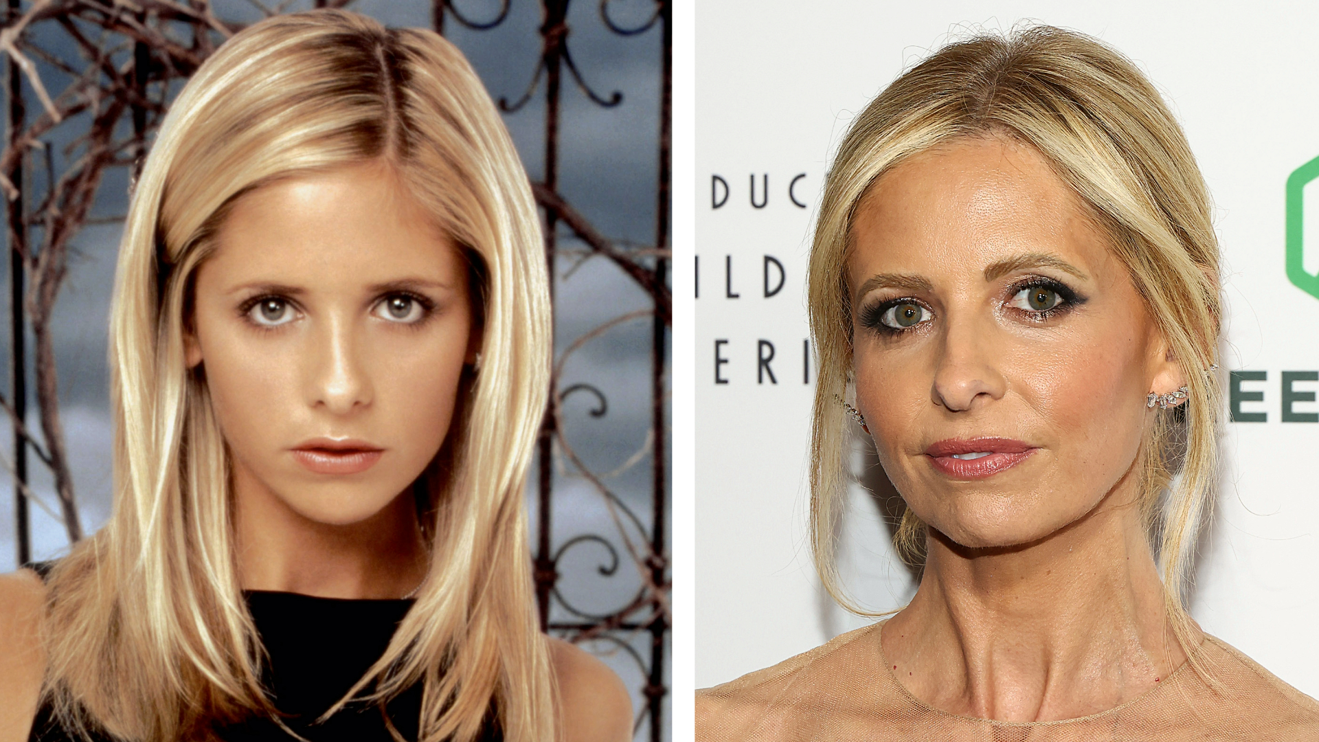 Revisit the Buffyverse With the Cast of 'Buffy the Vampire Slayer ...