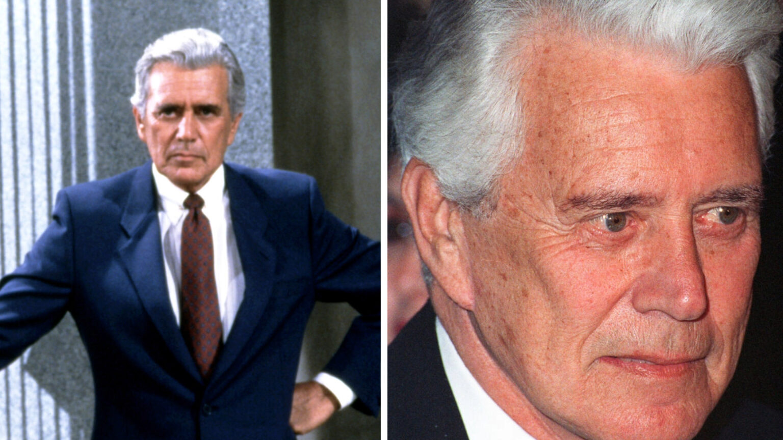 'Charlie's Angels': Where Are They Now & Where You Can Meet One!