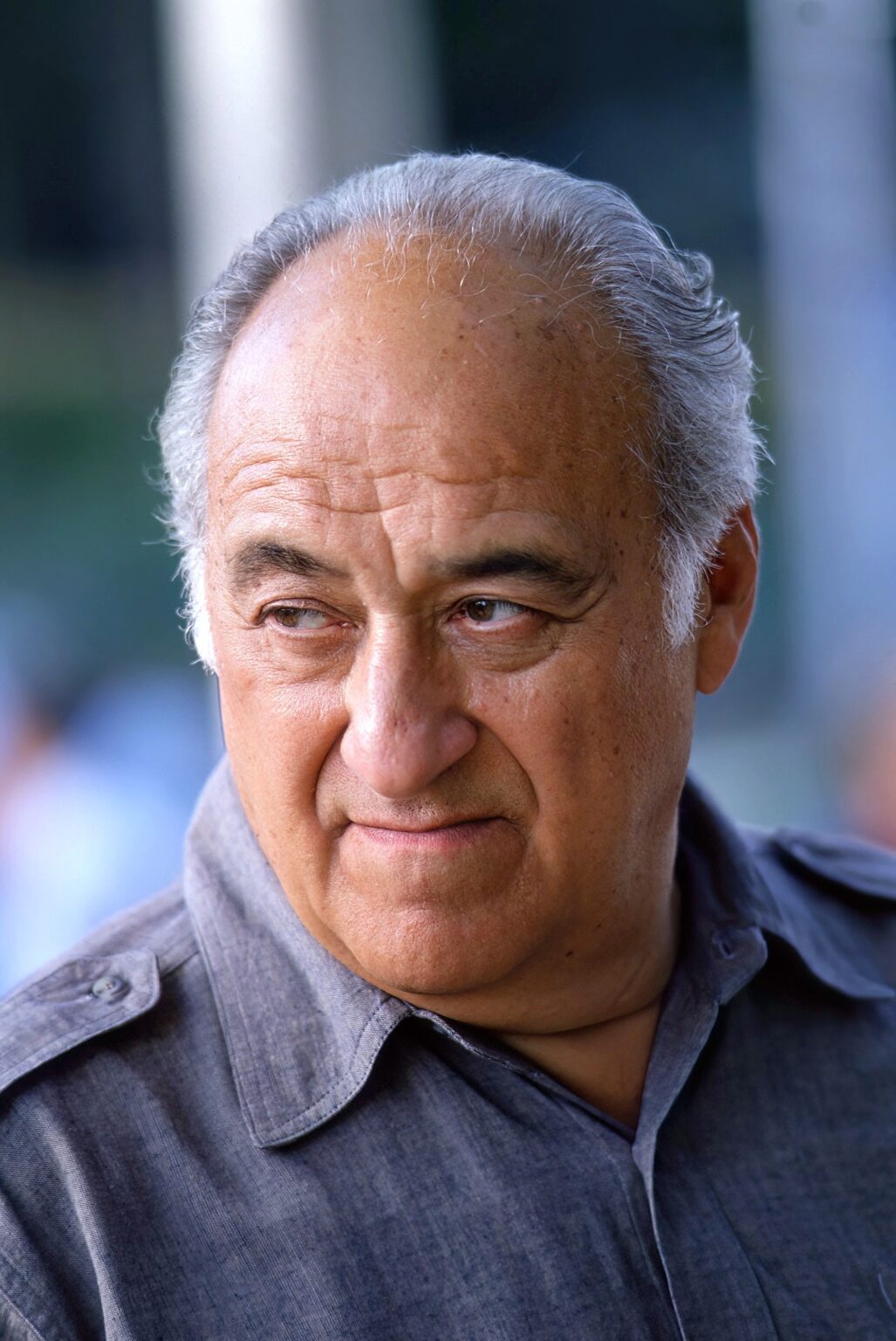 Jerry Stiller Was Almost Cast on 'The Sopranos' (Who Would He Have ...