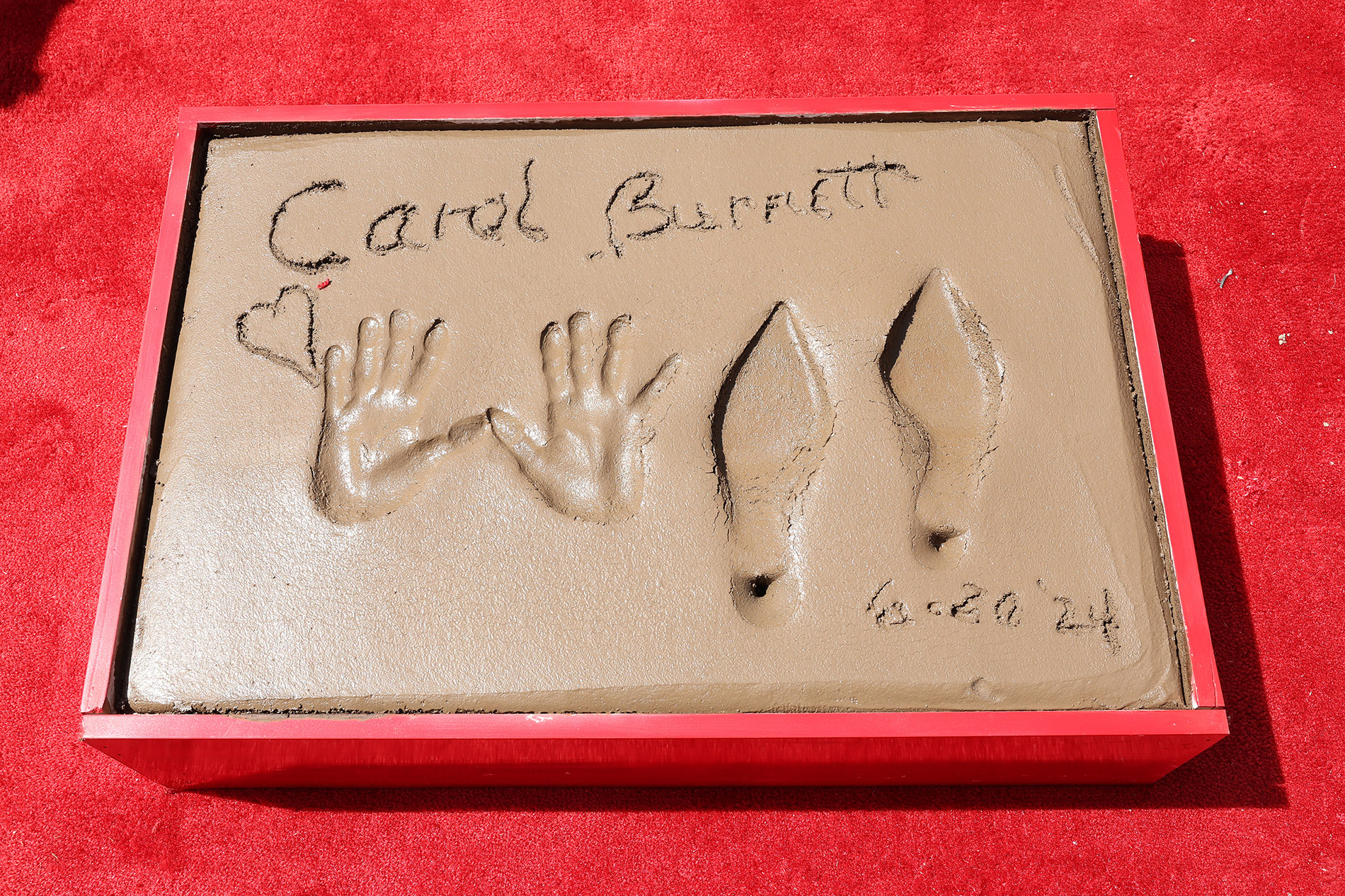 Carol Burnett & Dick Van Dyke Reunite For Special Honor (PHOTOS)
