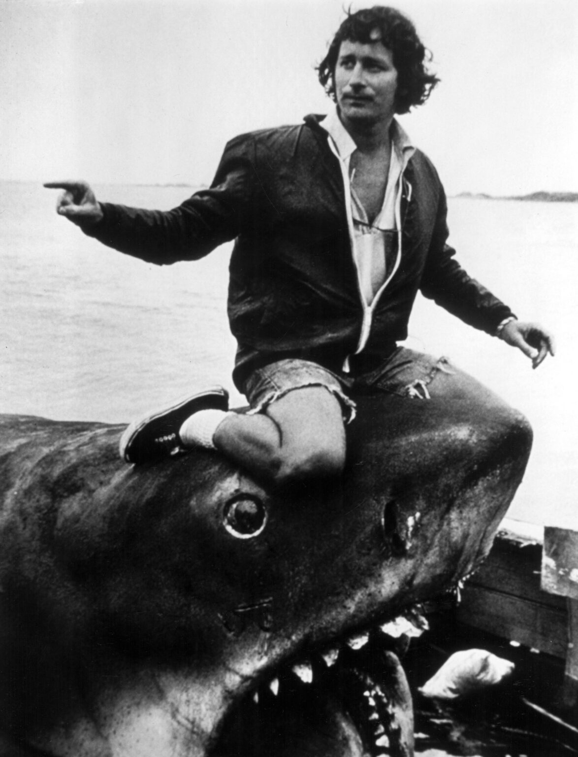 ‘Jaws @ 50’ to Air During Nat Geo's SharkFest 2025