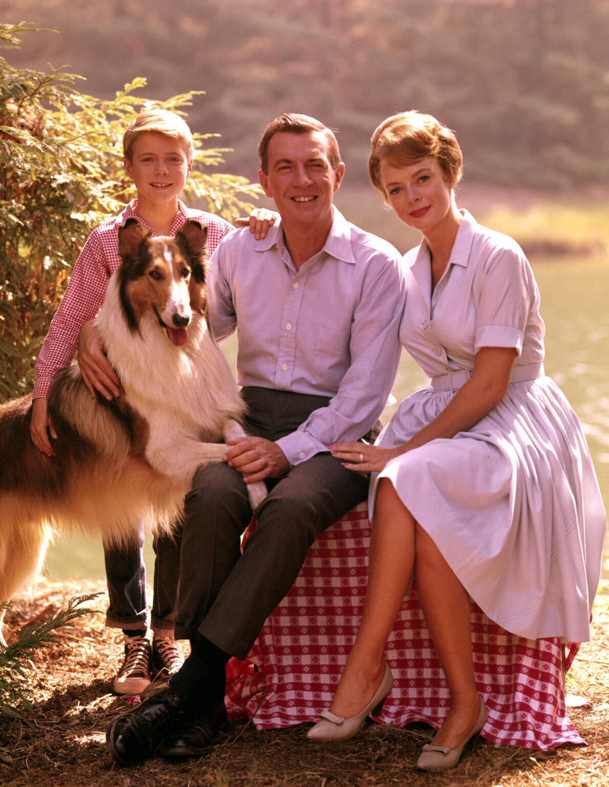 Where to Watch 'Lassie' in 2025