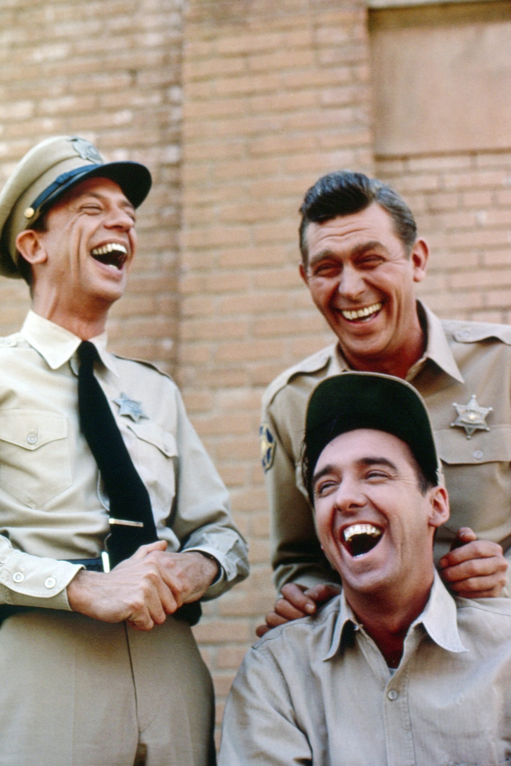 Don Knotts Most Famous TV & Movie Roles