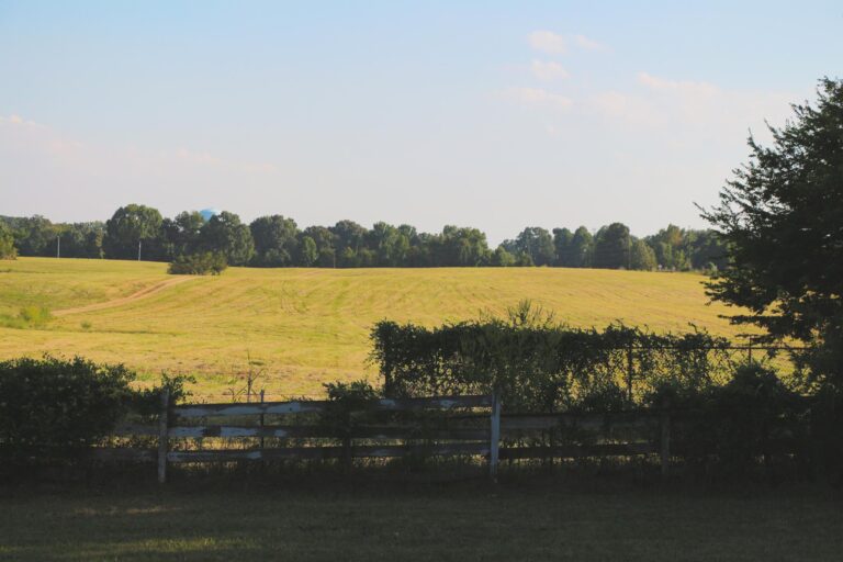 What Homes Did Elvis Own Besides Graceland?