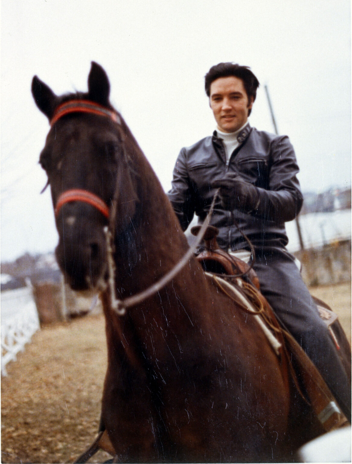 What Homes Did Elvis Own Besides Graceland?