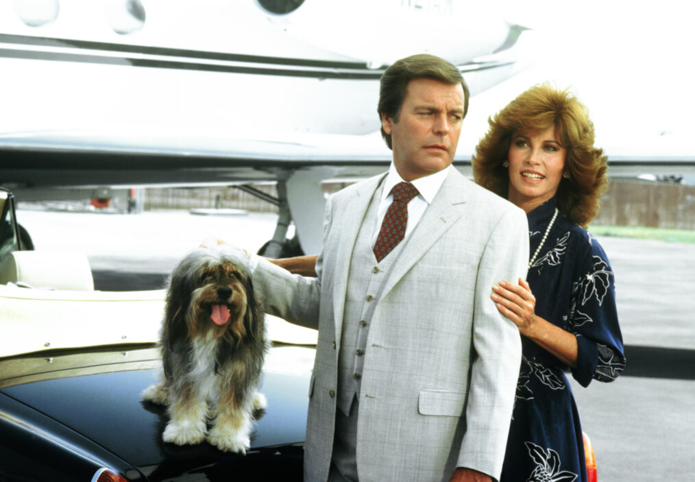 'Hart to Hart' Turns 45: Did Robert Wagner & Stefanie Powers Ever Date?