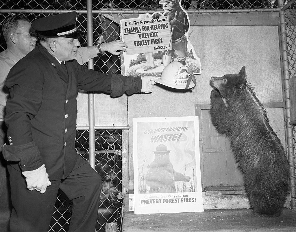 Smokey Bear Celebrates 80 Years