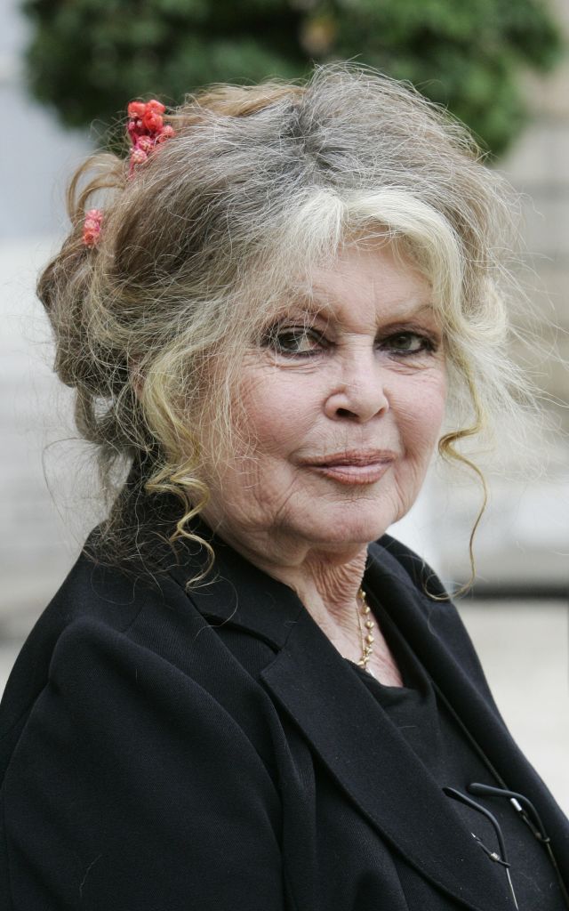 Brigitte Bardot Turns 90! Where Is She Now?