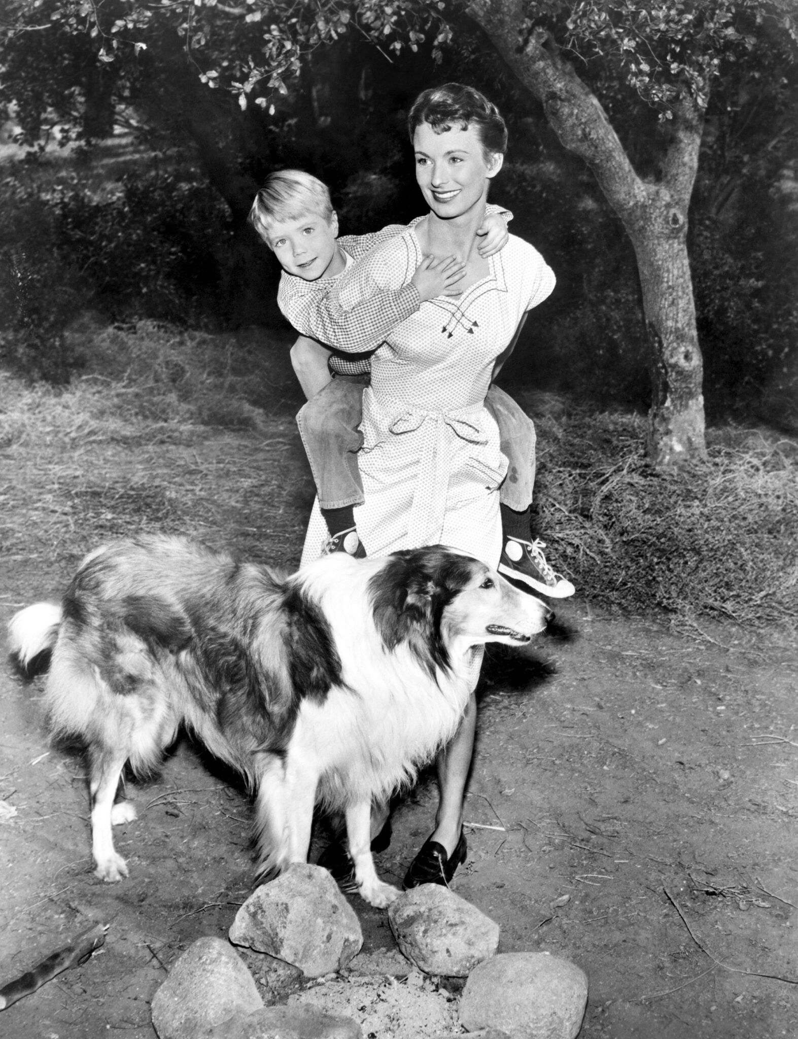 6 Things You Didn't Know About 'Lassie'