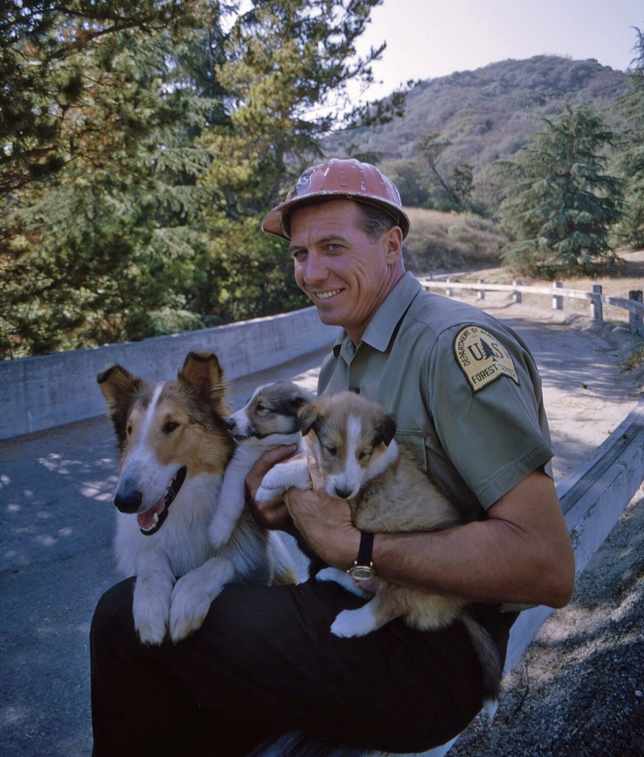 6 Things You Didn't Know About 'Lassie'