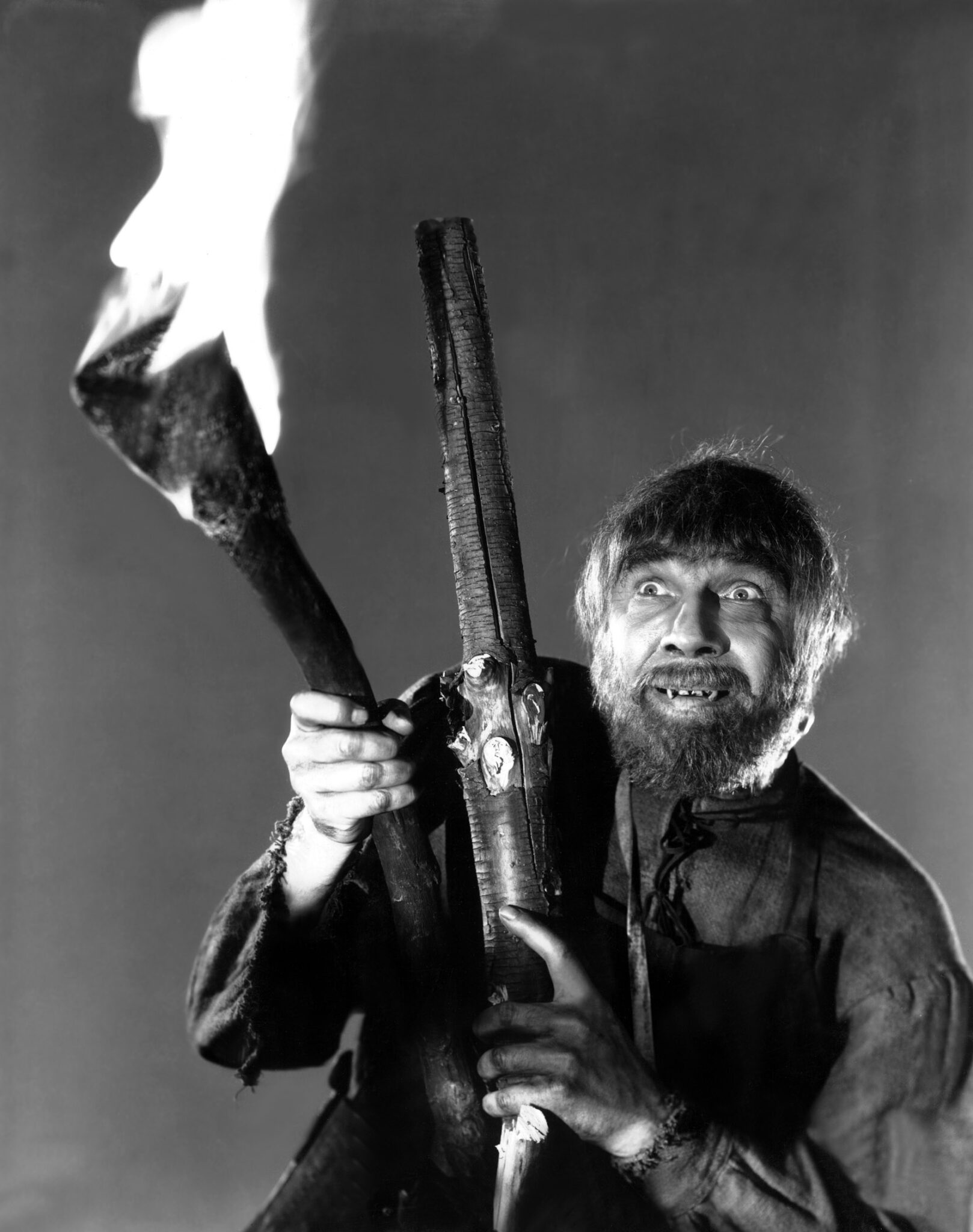 Fun Facts About Dr. Frankenstein's Lab Assistant Igor