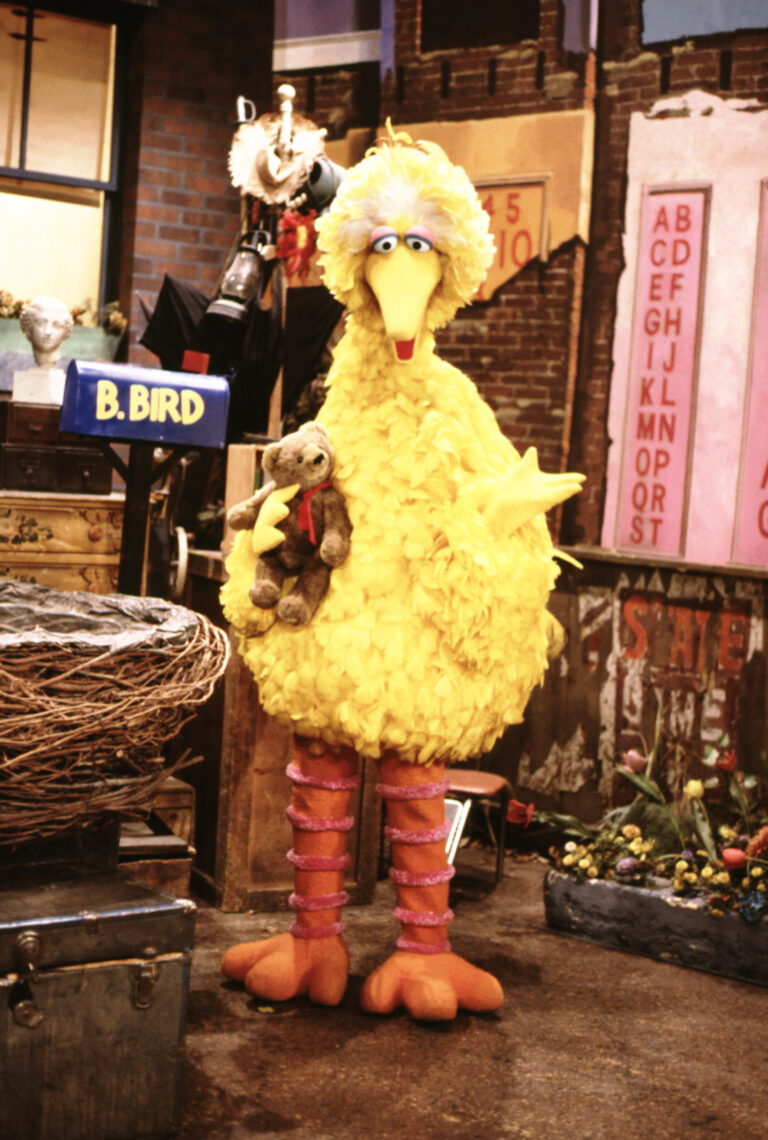 20 Fun Facts About 'Sesame Street' for 55th Anniversary