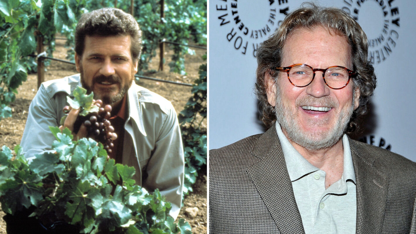 Whatever Happened to the Cast of 'Falcon Crest'?