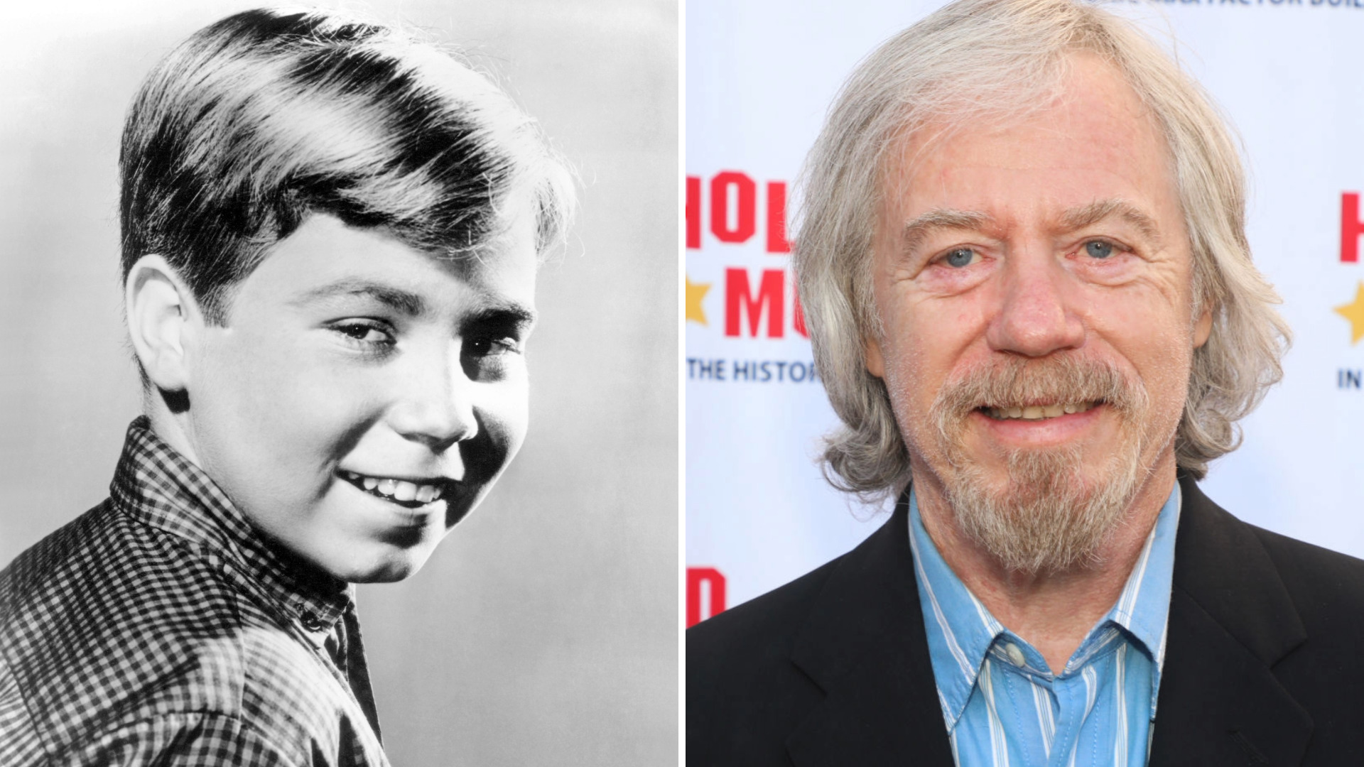 Who Is Still Alive From 'My Three Sons'?