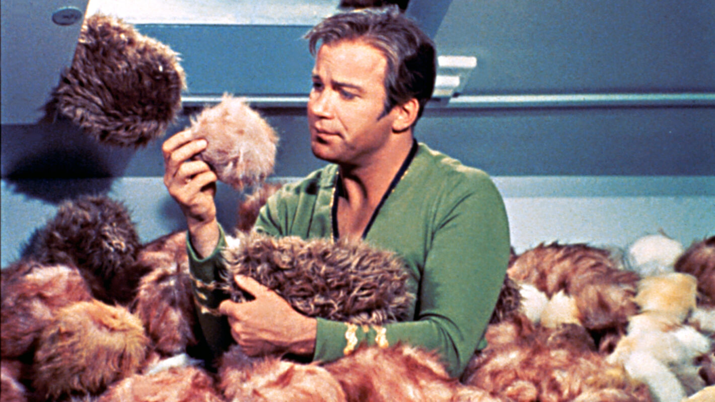 What was the Original Name for the 'Star Trek' Tribbles?