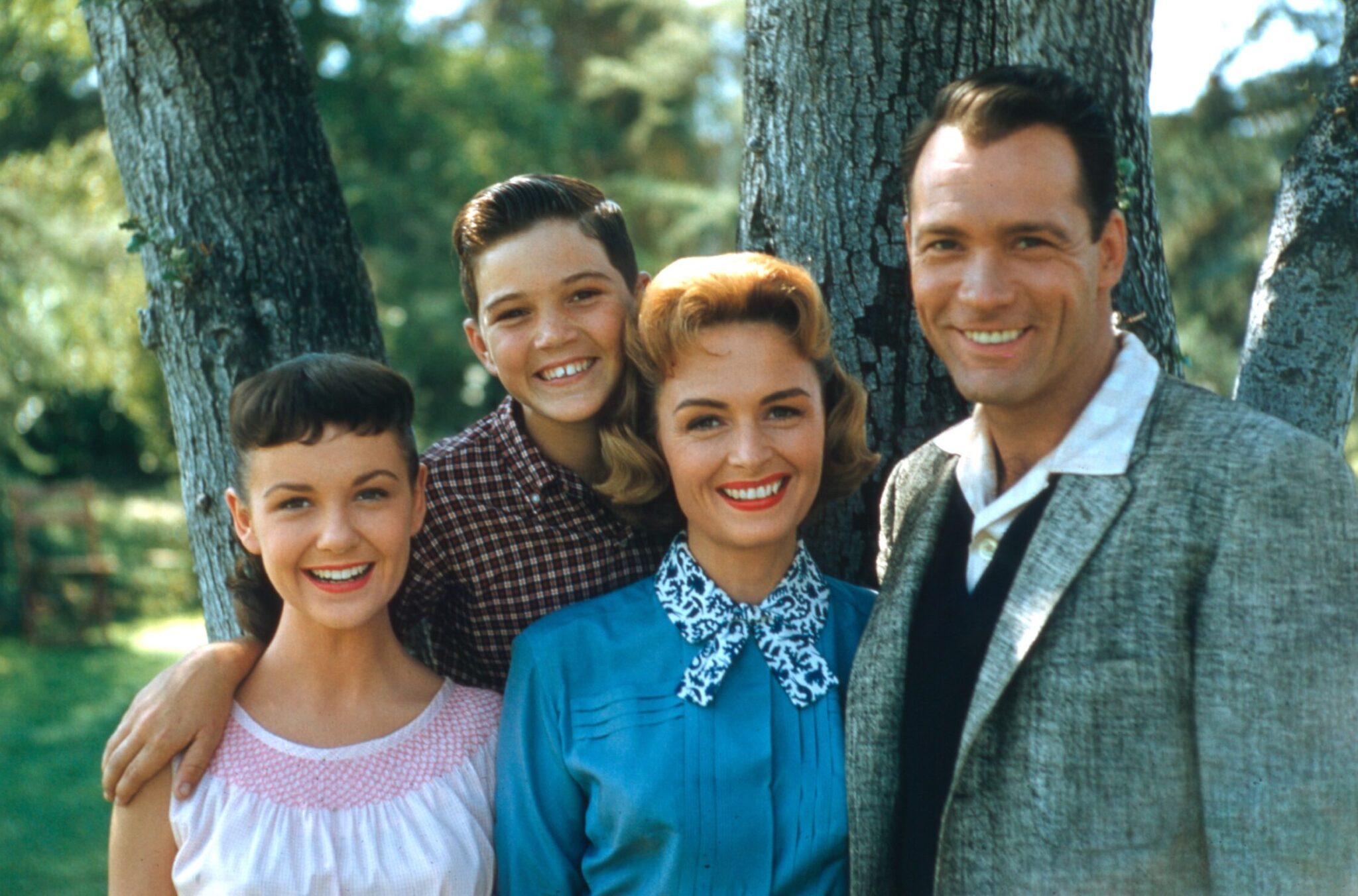 What Happened on the Final Episode of 'The Donna Reed Show' and How Did ...