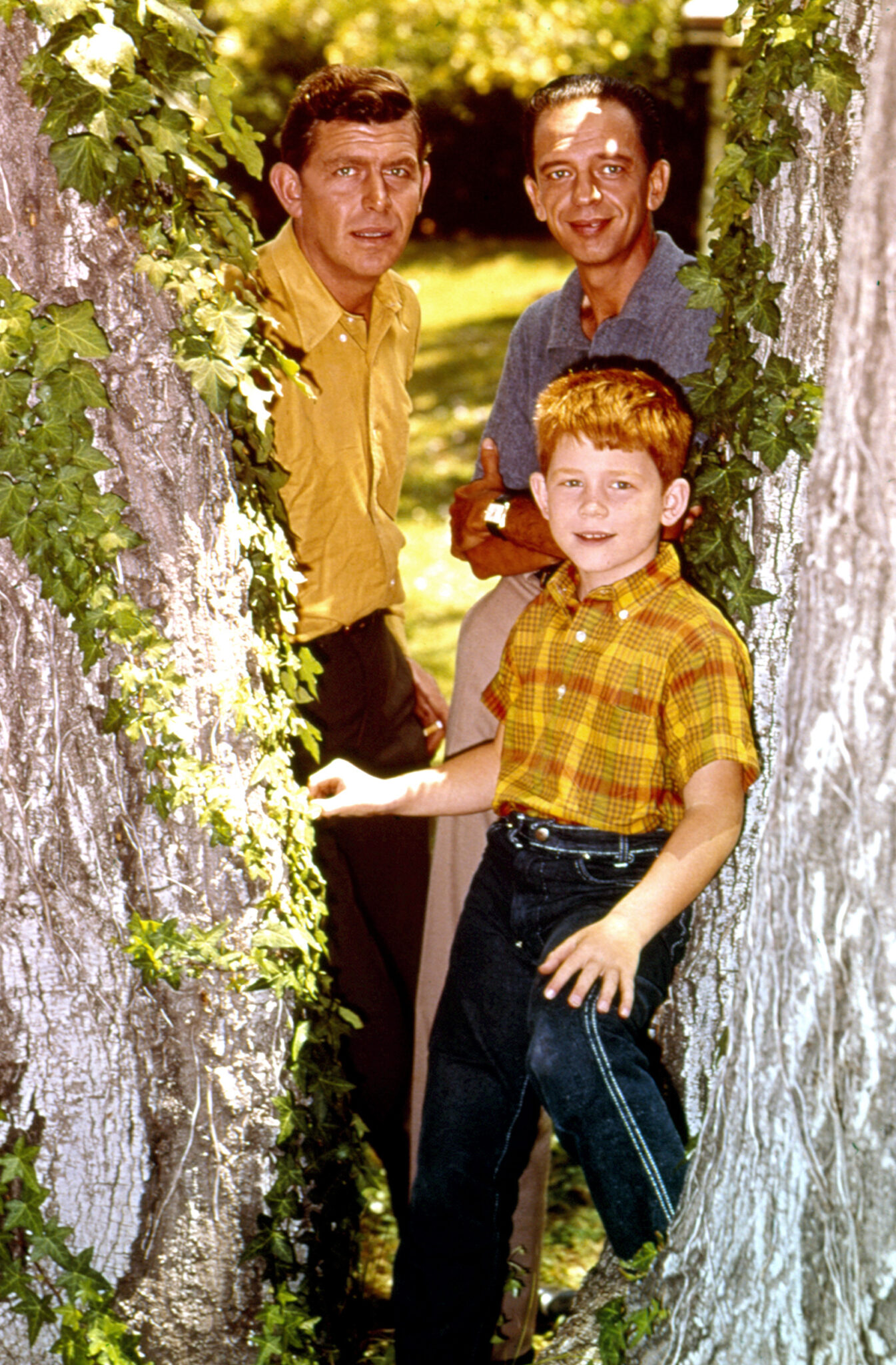 Ron Howard & 'Andy Griffith Show' Co-star Are Distant Cousins