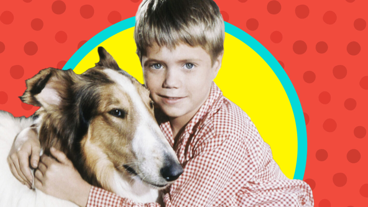 5 Things You Never Knew About the ‘Lassie’ Star Jon Provost As He ...