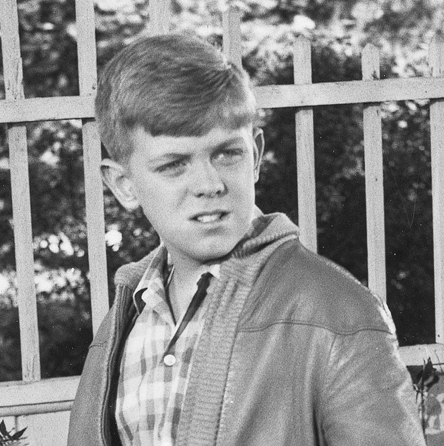 Who Is Still Alive From 'Leave It to Beaver'?