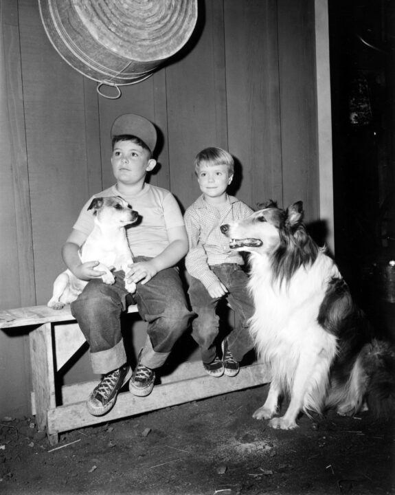Who Is Still Alive From 'Lassie'?
