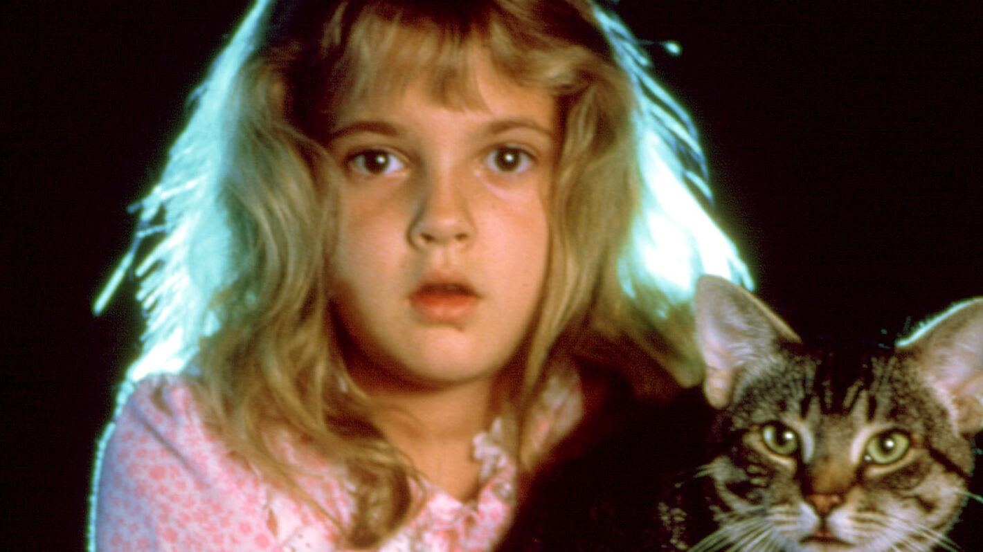 'Cat's Eye' Turns 40: Facts and Trivia About Stephen King and Drew ...