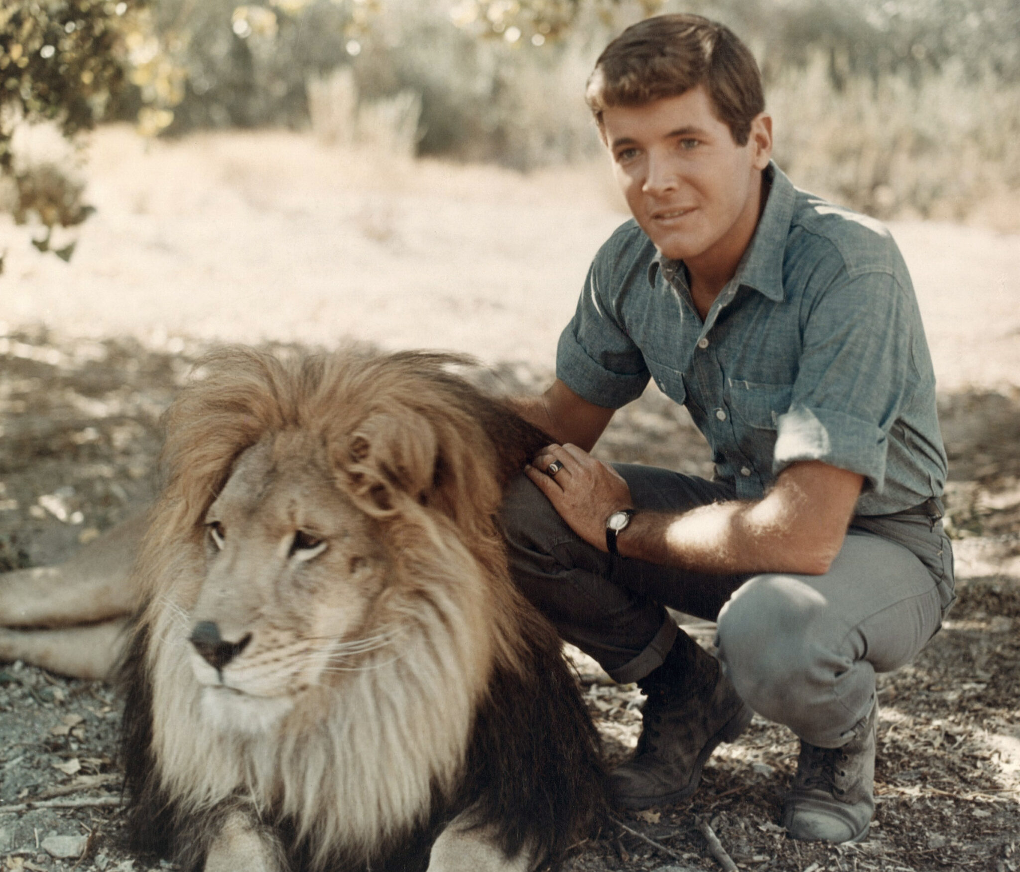 6 Things You Never Knew About 'Daktari,' the 1966 Adventure Series ...