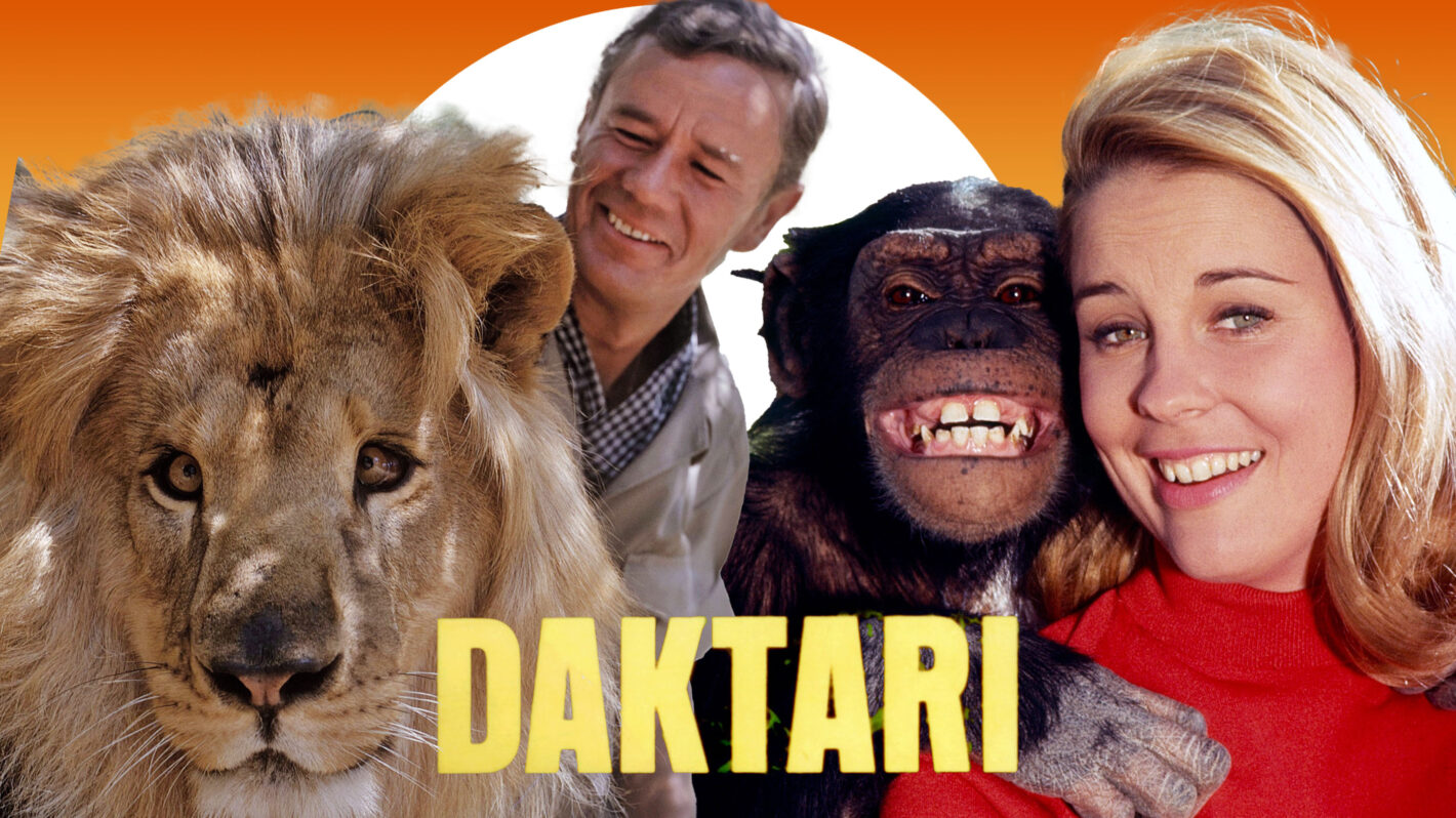 6 Things You Never Knew About 'Daktari,' the 1966 Adventure Series Featuring Real Wild Animals