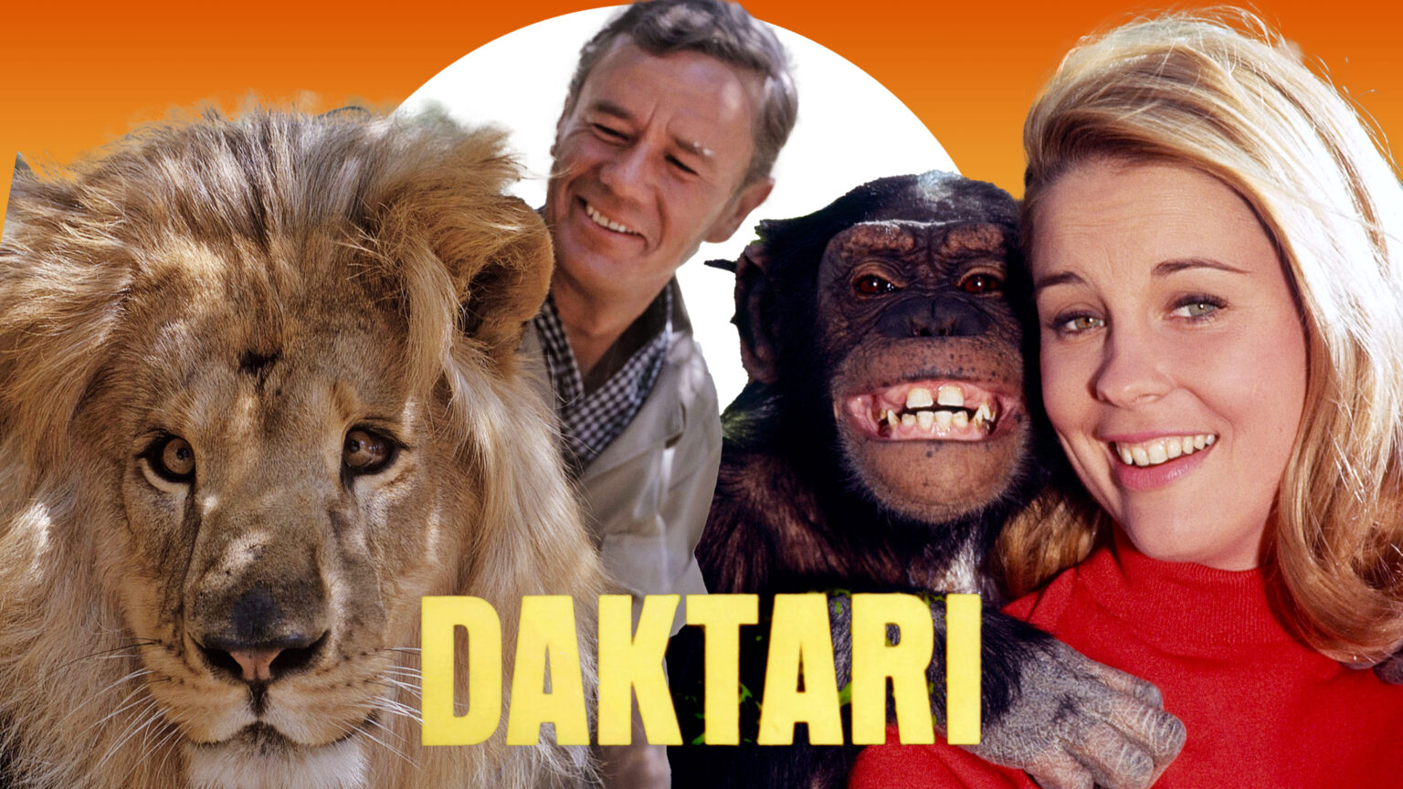 6 Things You Never Knew About 'Daktari,' the 1966 Adventure Series ...