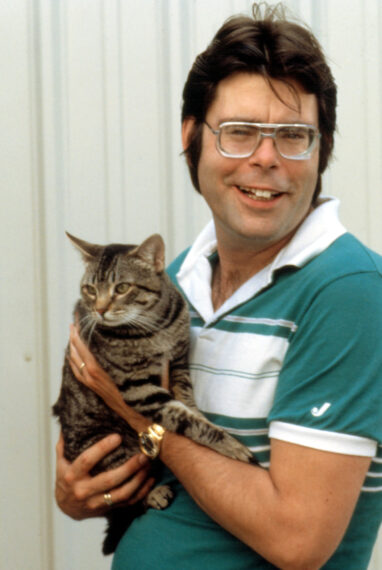 'Cat's Eye' Turns 40: Facts and Trivia About Stephen King and Drew ...