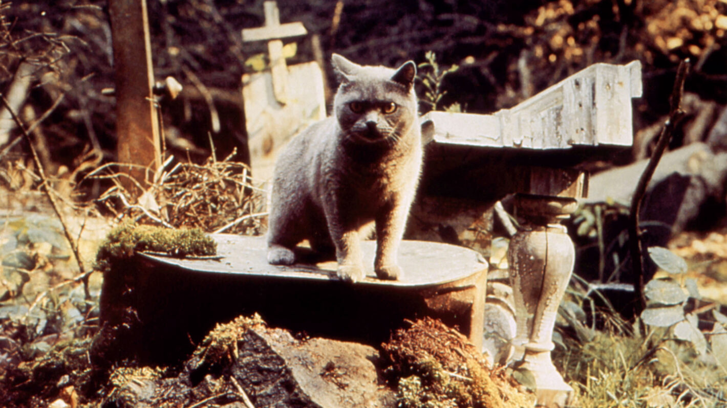 'Pet Sematary' 36th Anniversary: Facts and Trivia About the 1989 ...