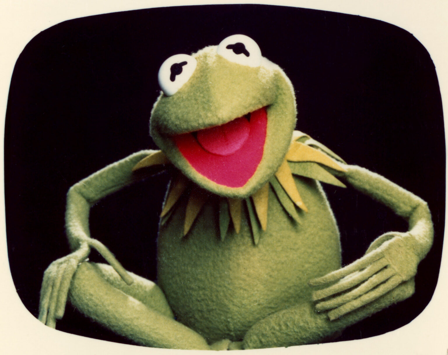 Did You Know About Kermit the Frog's First TV Show … 19 Years Before ...