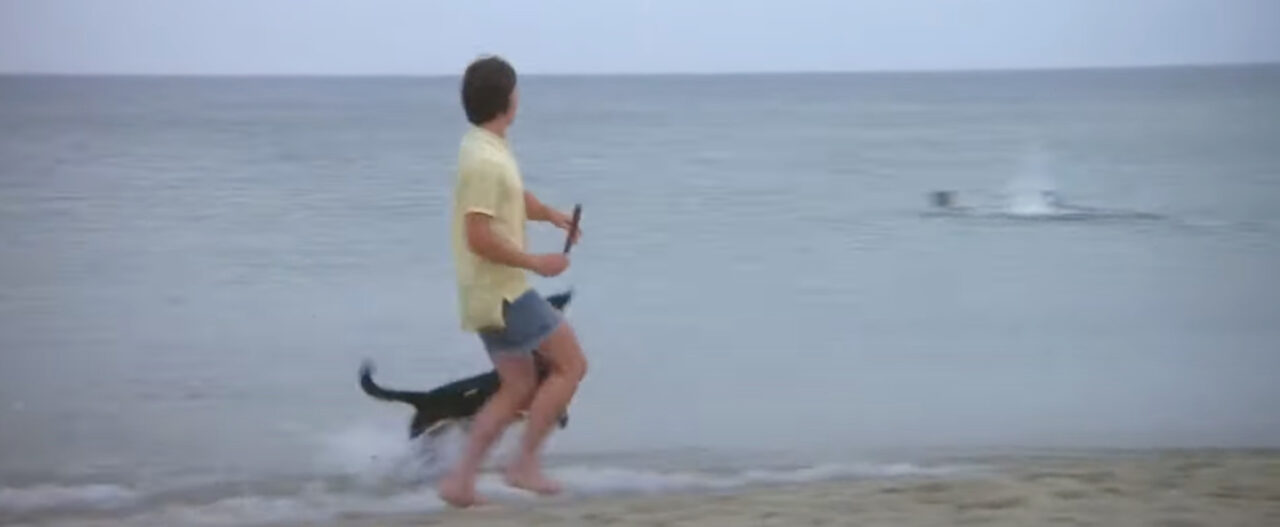 What Happened to Pipit the Dog in 'Jaws'?