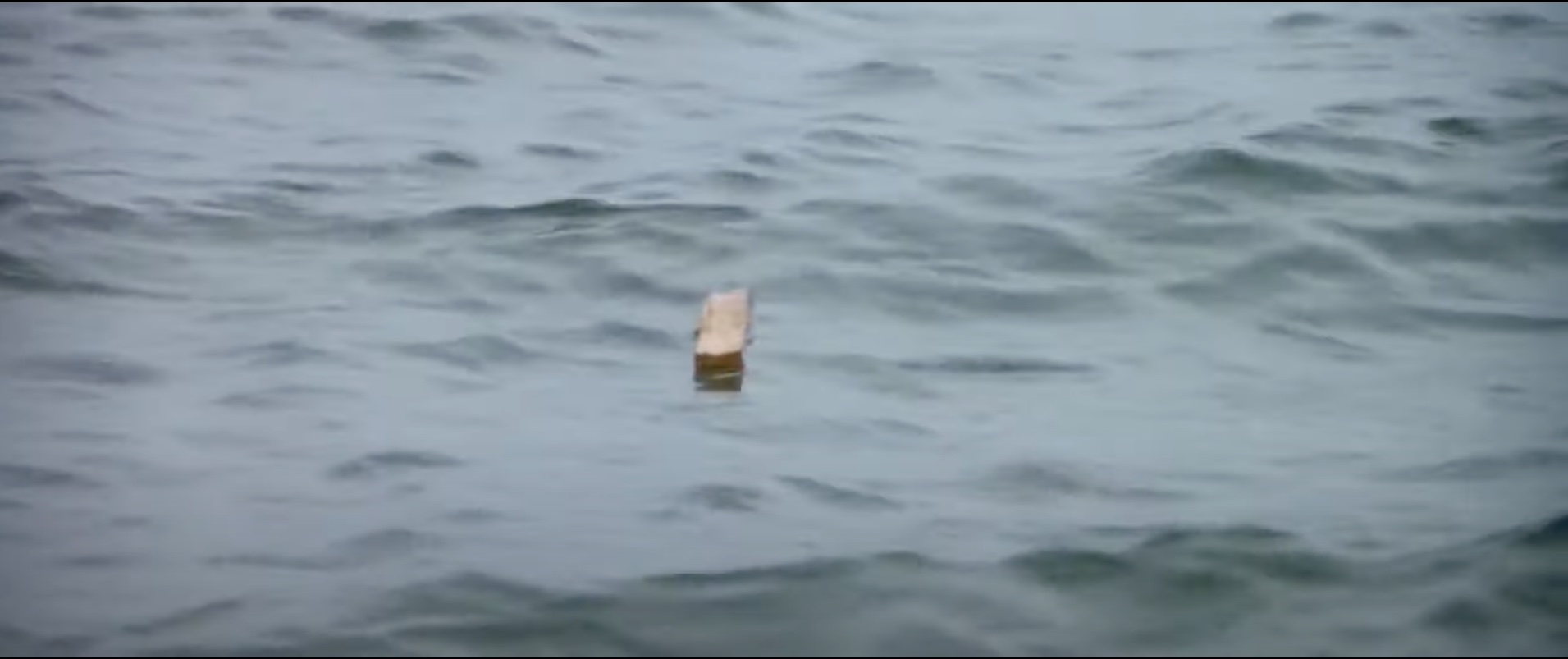 What Happened to Pipit the Dog in 'Jaws'?