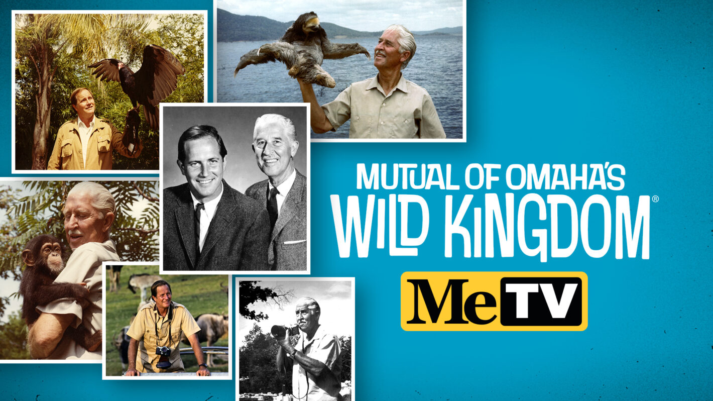 MeTV To Air 'Mutual of Omaha's Wild Kingdom'