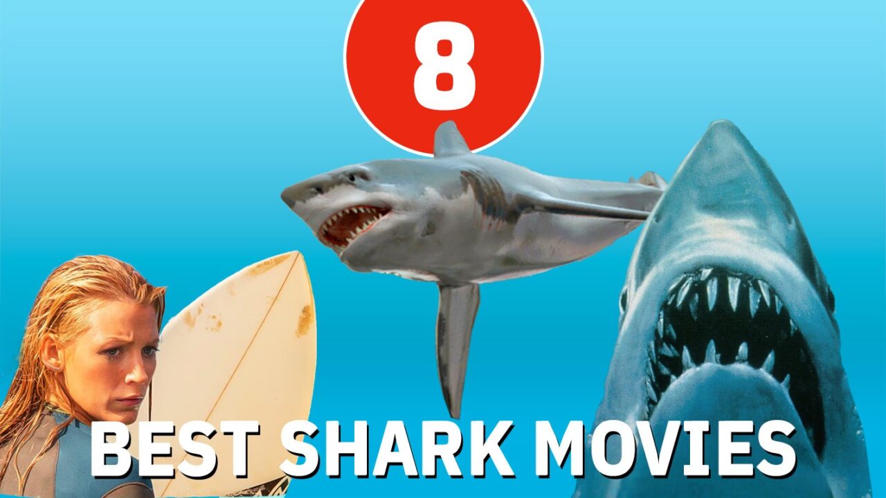 Movies - Remind Magazine