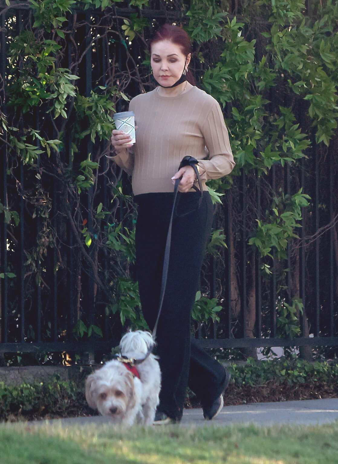 Priscilla Presley 'Pulled the Plug' on Daughter Lisa Marie to Gain ...