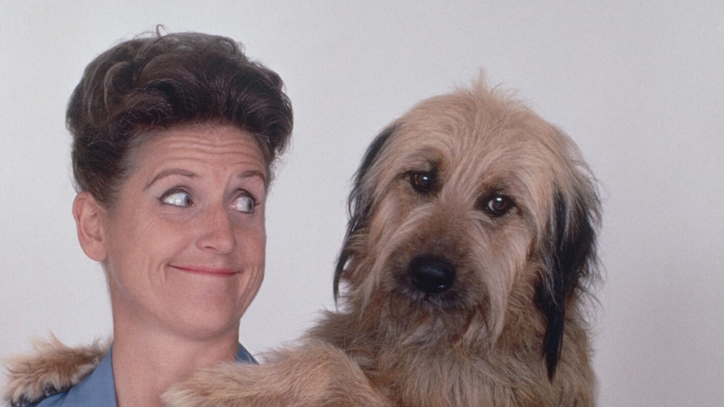 Why Did Tiger, the 'Brady Bunch's Family Dog, Mysteriously Vanish?