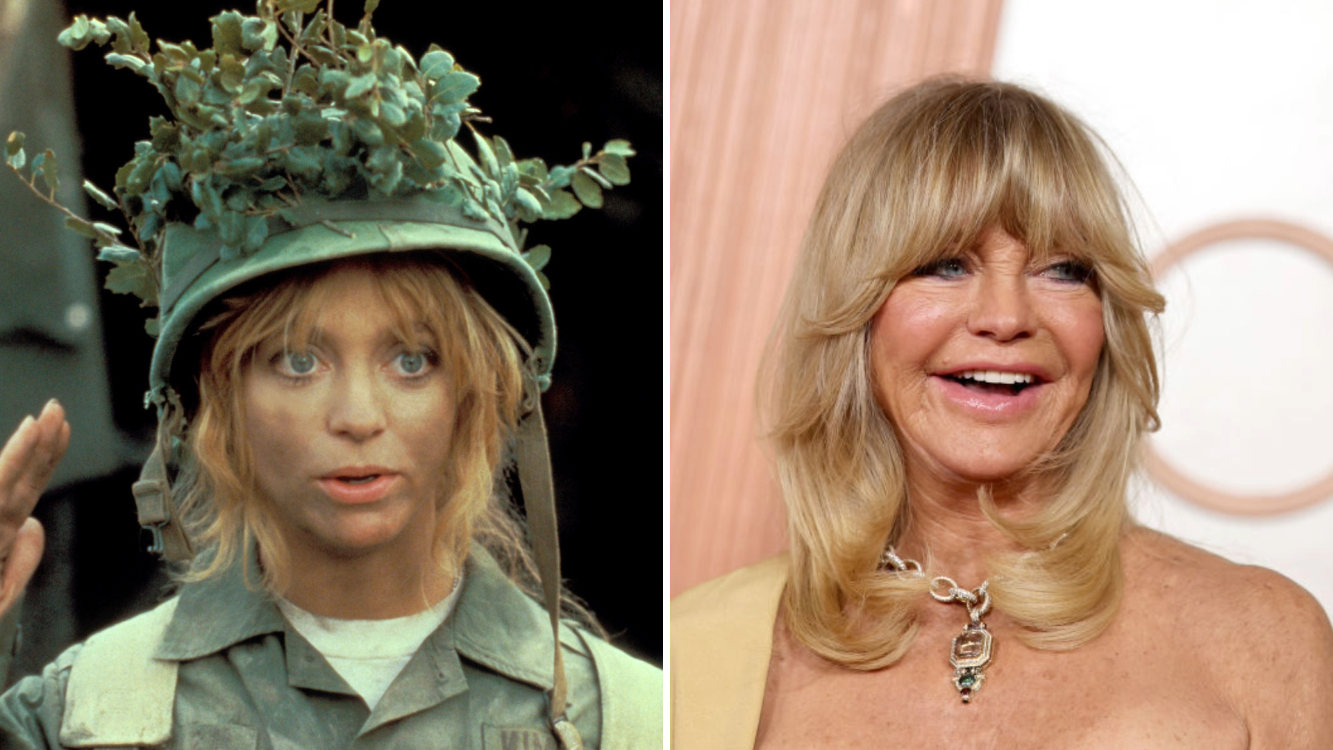Who's Still Alive From 'Private Benjamin'?