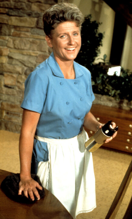 The Surprising Reason Ann B. Davis Left Hollywood After 'The Brady Bunch'