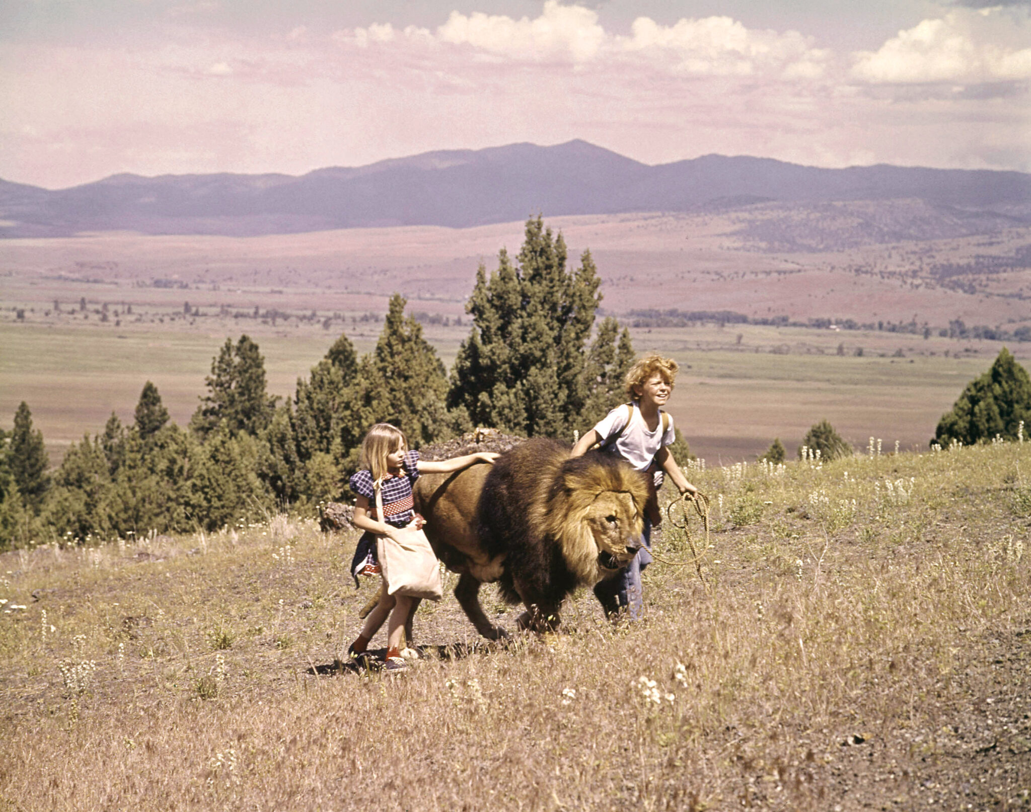 Jodie Foster Details Getting Mauled by a Lion While Filming Disney Movie