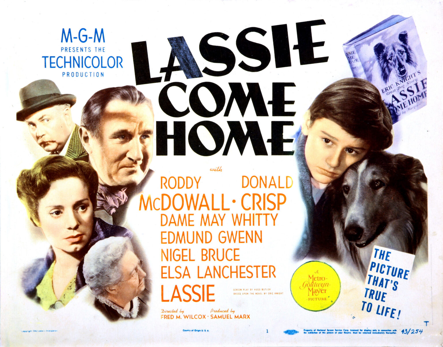 TCM '31 Days of Oscar' Highlights: February 23-March 1 & Full March ...