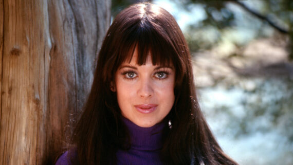 Whatever Happened to 'Vega$' Star Phyllis Davis? Why the Actress Chose ...